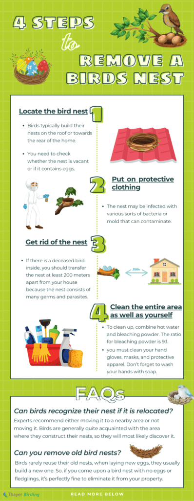 How To Remove A Birds Nest