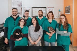 How to Help a Bird With a Broken Leg? - 6 Important Steps